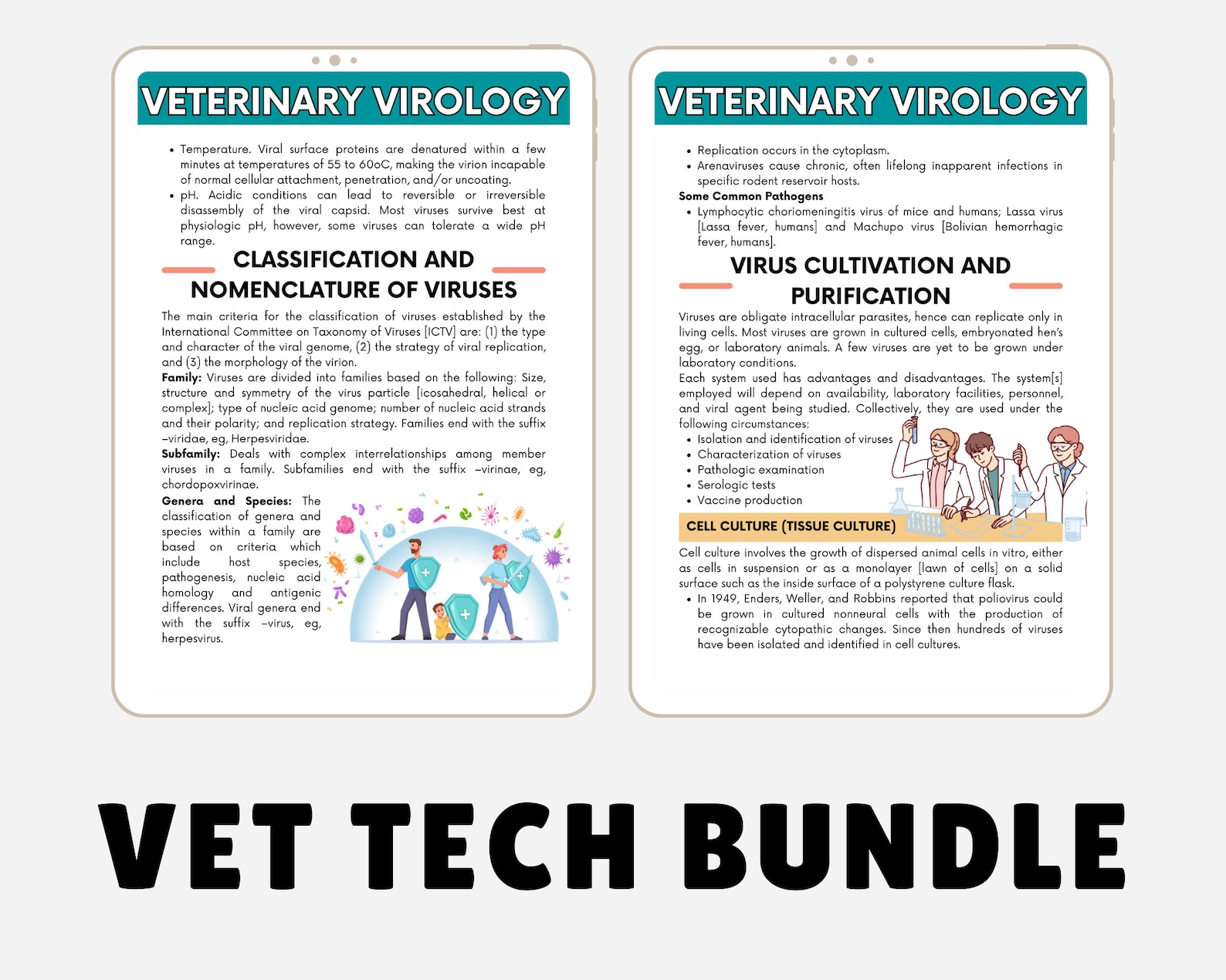 Vet Tech Notes Bundle: VTNE Prep, Vet Med Study Guide (digital Download ...