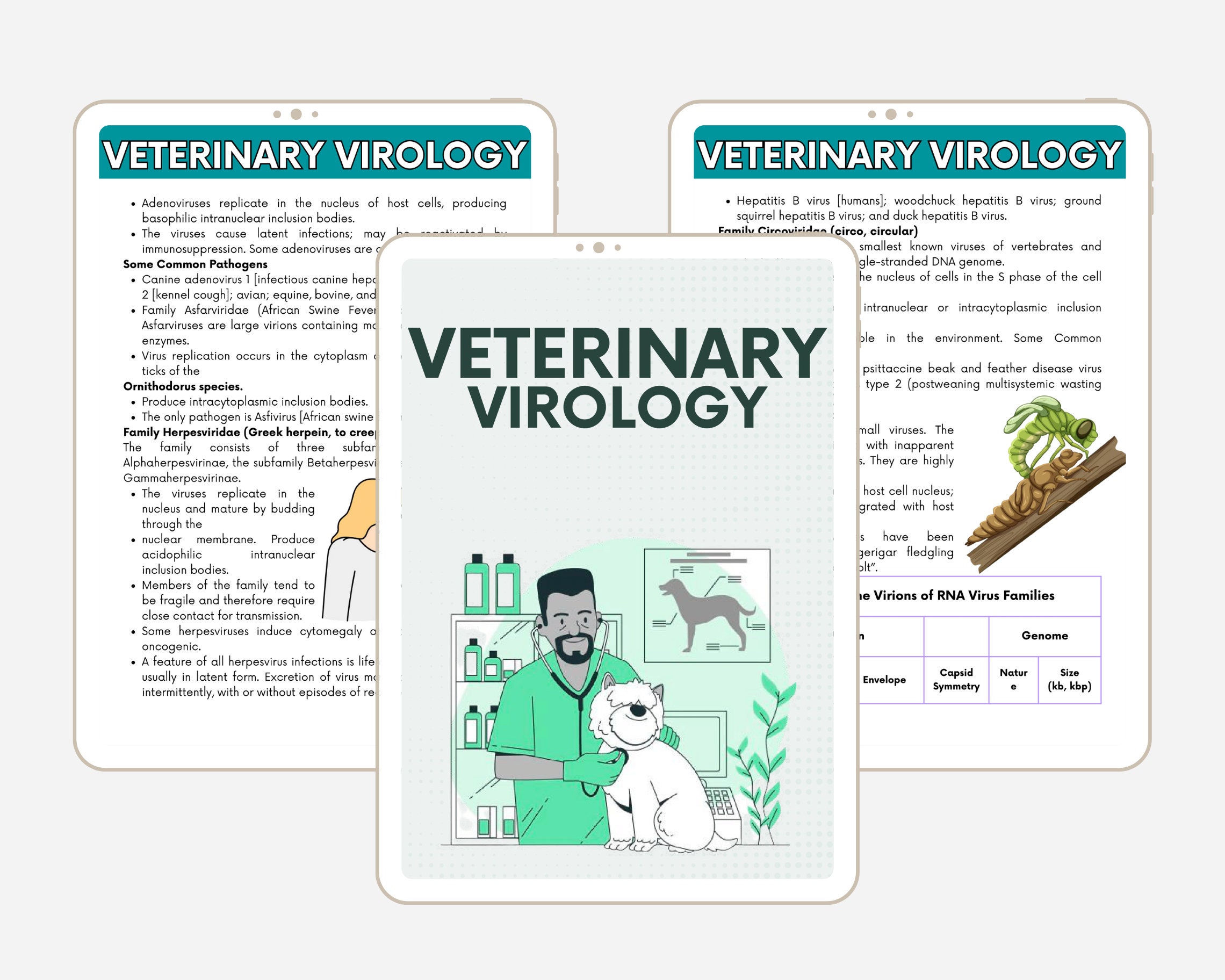 BEST SELLING 240 Pages Vet Tech Notes, Vet Med Study Guide, VTNE Prep ...