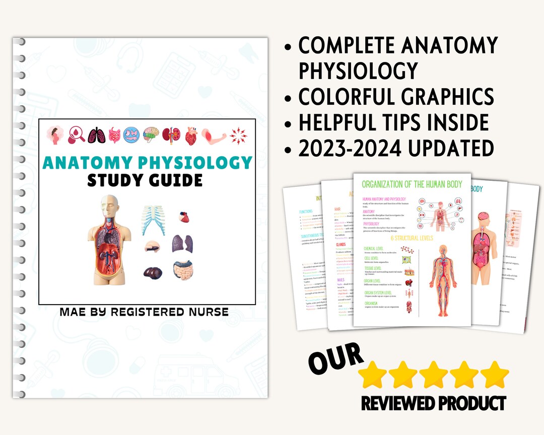 Anatomy and Physiology Nursing Anatomy Study Guide Anatomy Notes ...