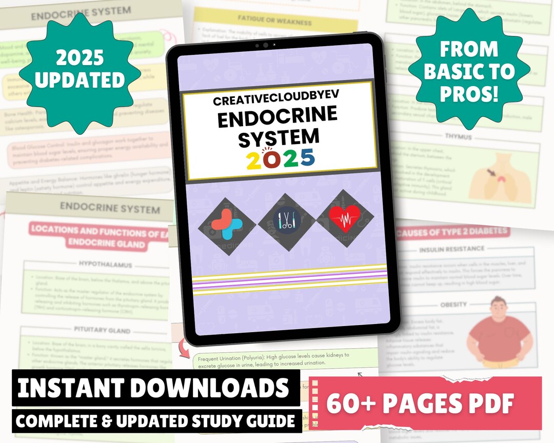 Endocrine System Nursing Study Guide 2025, Endocrine Disorders ...