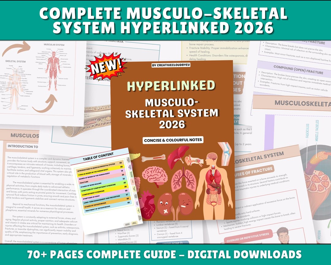 Musculoskeletal System Nursing Study Guide: Anatomy & Physiology (PDF ...