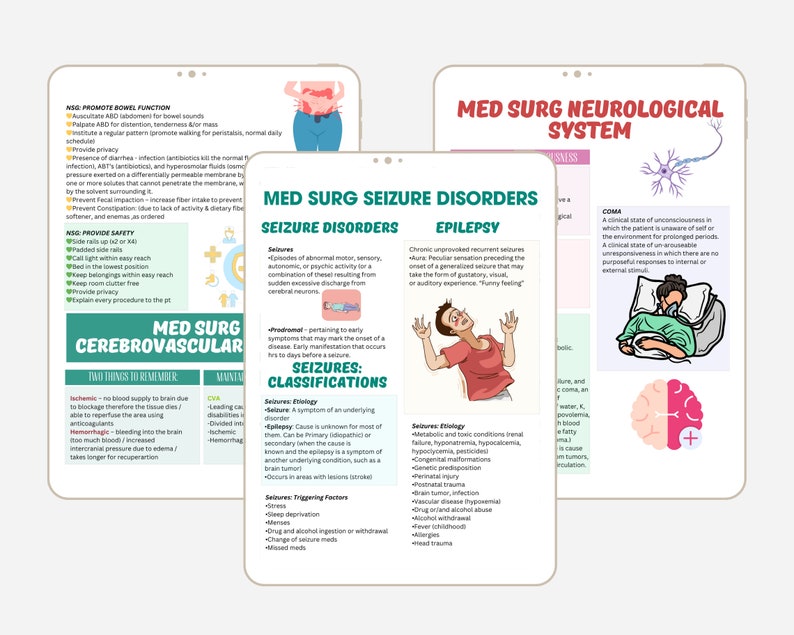 Med-surg II Study Bundle 2024, Nursing Study Guide, Med Surg Notes ...