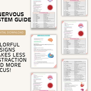 Nervous System Notes, Nursing Bundle, Nursing Notes, Med Surg Study ...