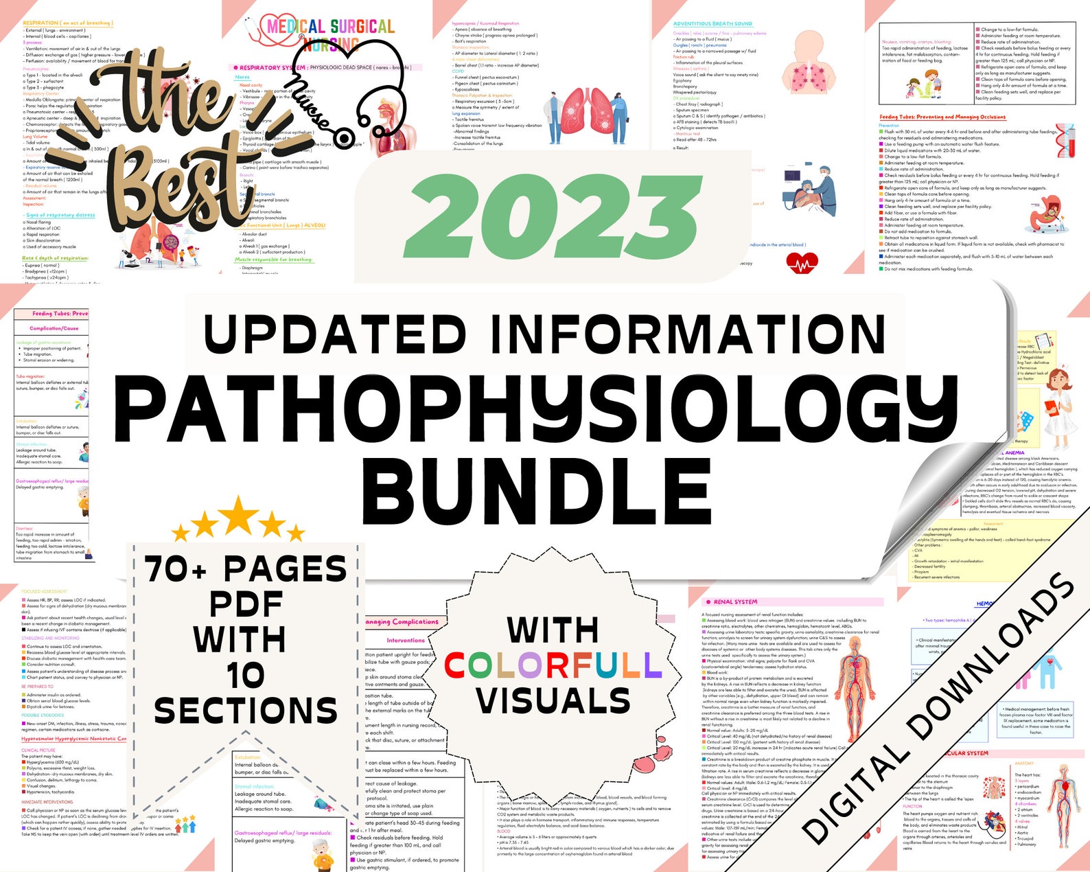 Pathophysiology Study Guide Bundle 70 Pages, Pathophysiology Nursing ...
