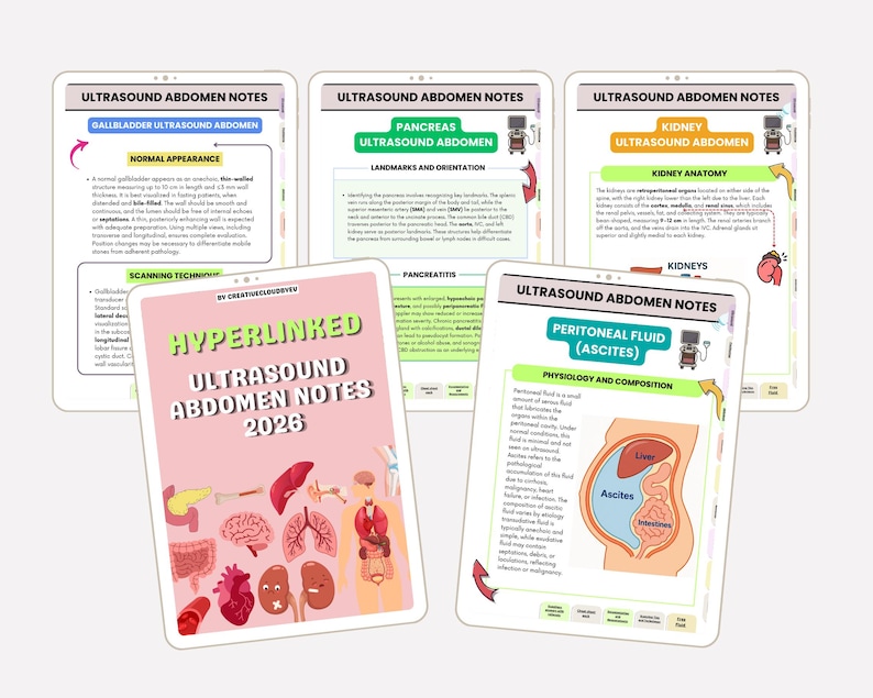 Ultrasound Abdomen Study Notes Bundle: Sonography Student Guide ...