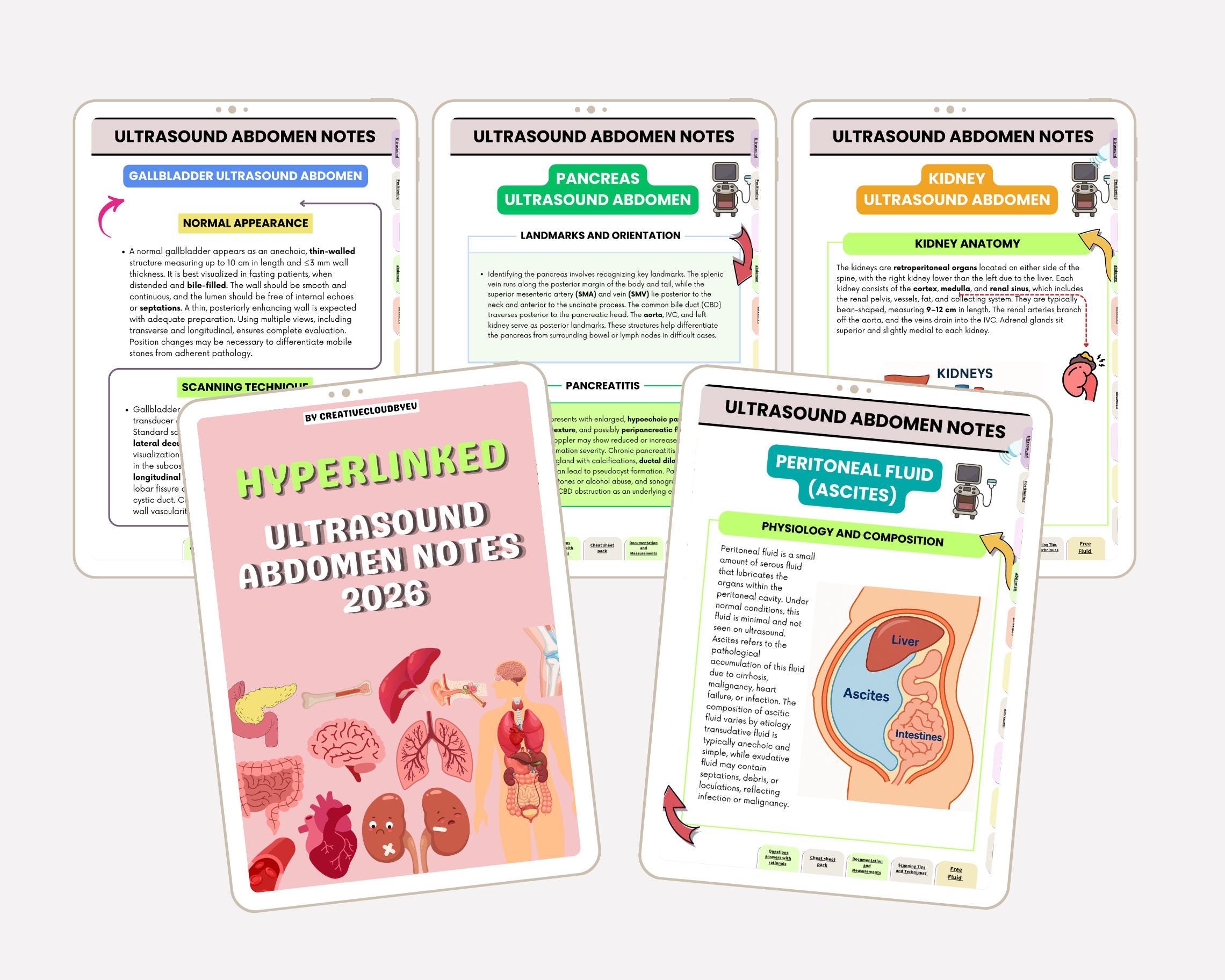Ultrasound Abdomen Study Notes Bundle: Sonography Student Guide ...