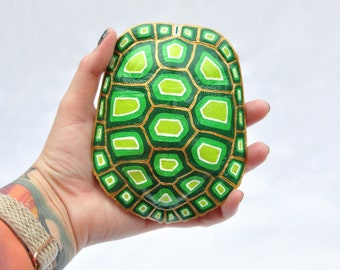 Turtle Shell Real - Etsy