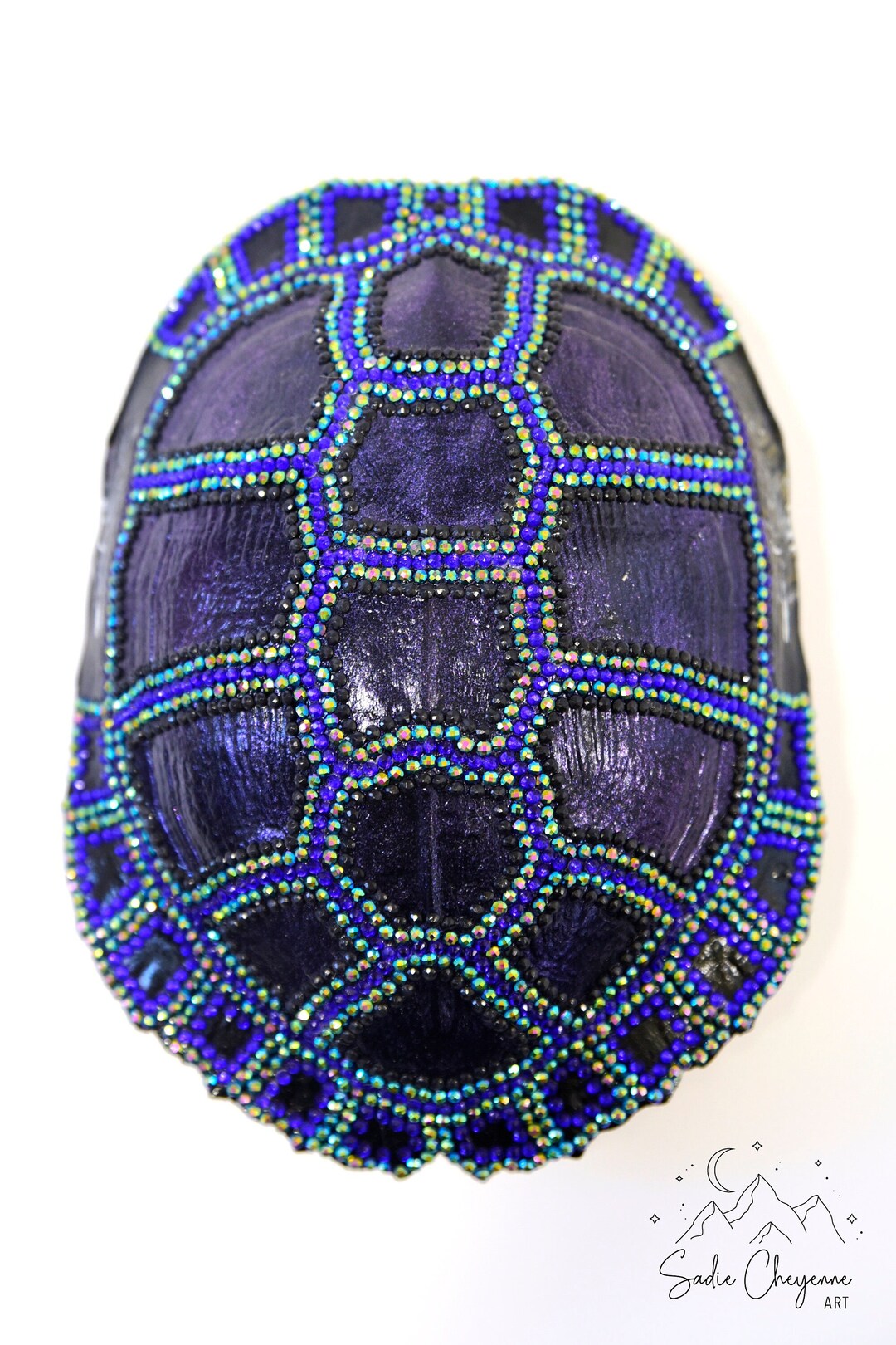 Real Turtle Shell, Raven, Crow, Night, Purple, Iridescent, Sparkle ...