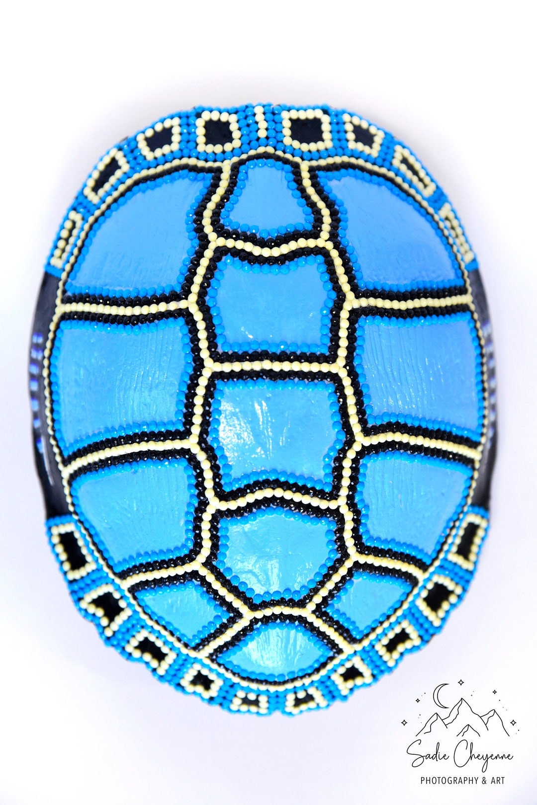 Real Turtle Shell, Blue Jay, Songbird, Bird Art, Turtle Art, Home Decor ...