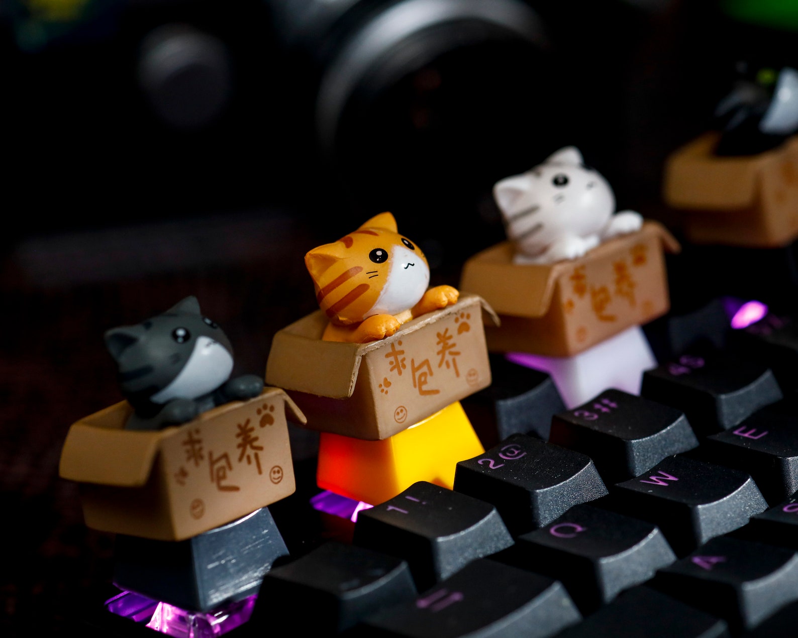 Cute Cat Keycaps Backlit Kitty Keycap Kitty Resin Artisan | Etsy Canada