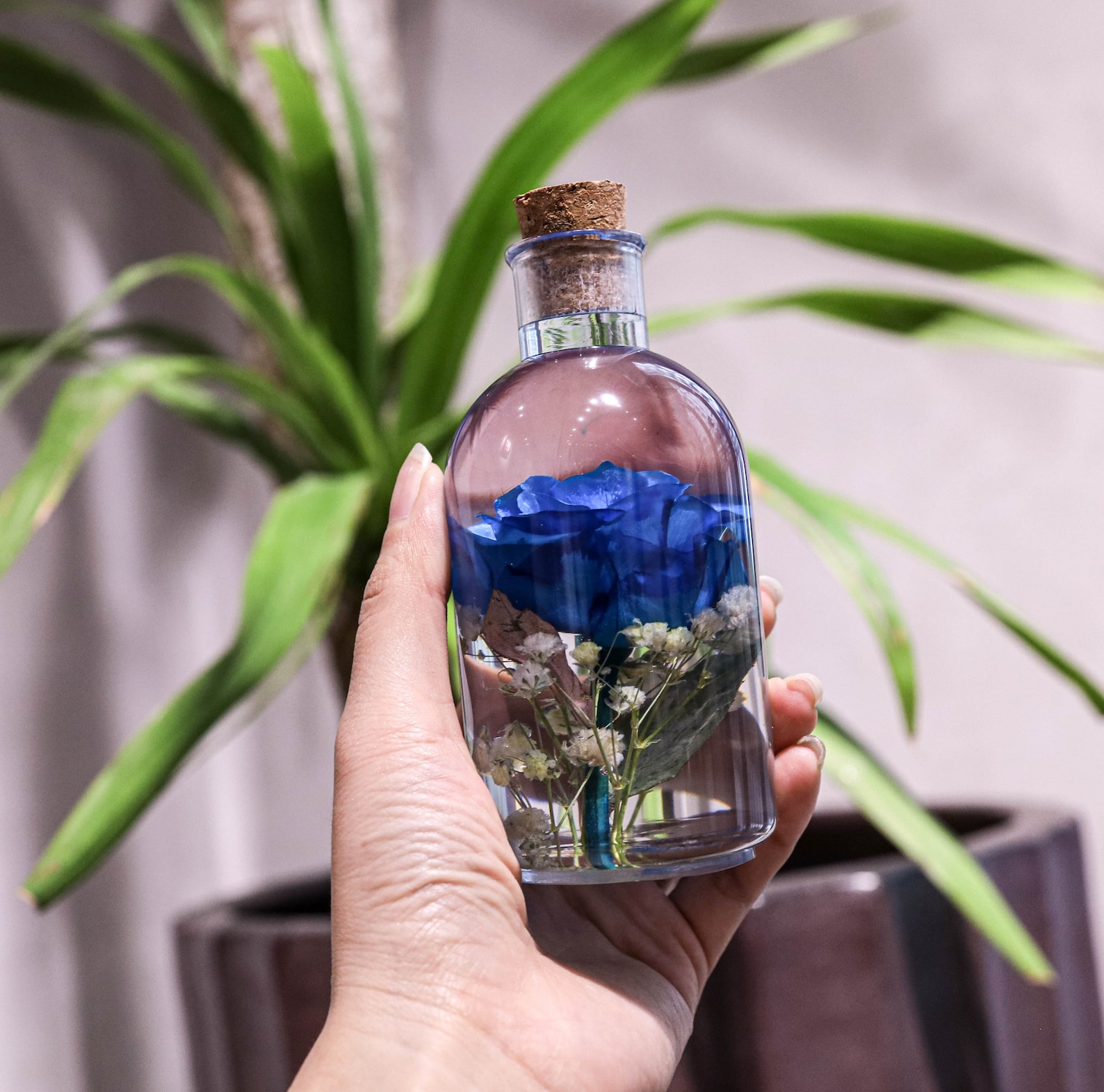 Blue Rose Night Light, Blue Rose Keepsake Gift, Gift for Girlfriend ...