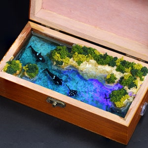 Mystery Box Vintage Light Box Orca Killer Whale and Manta Ray Diorama ...