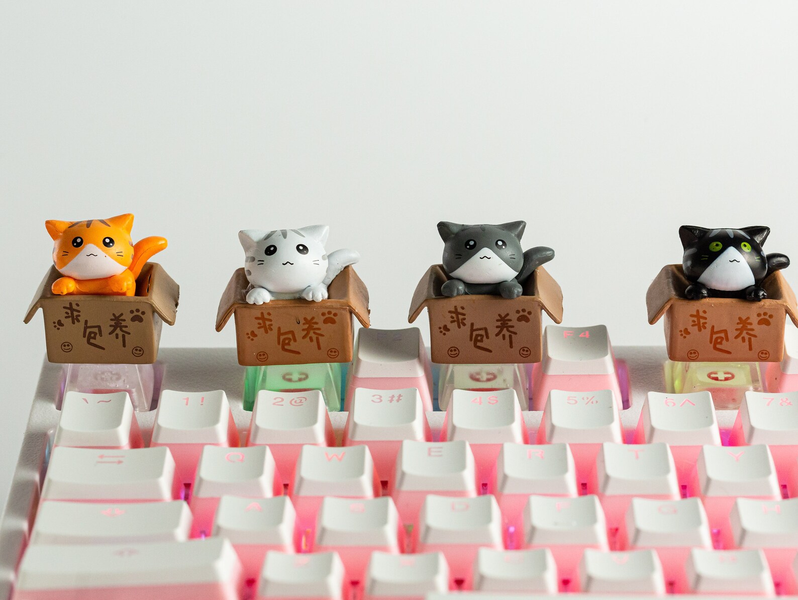 Cute Cat Keycaps Backlit Kitty Keycap Kitty Resin Artisan - Etsy