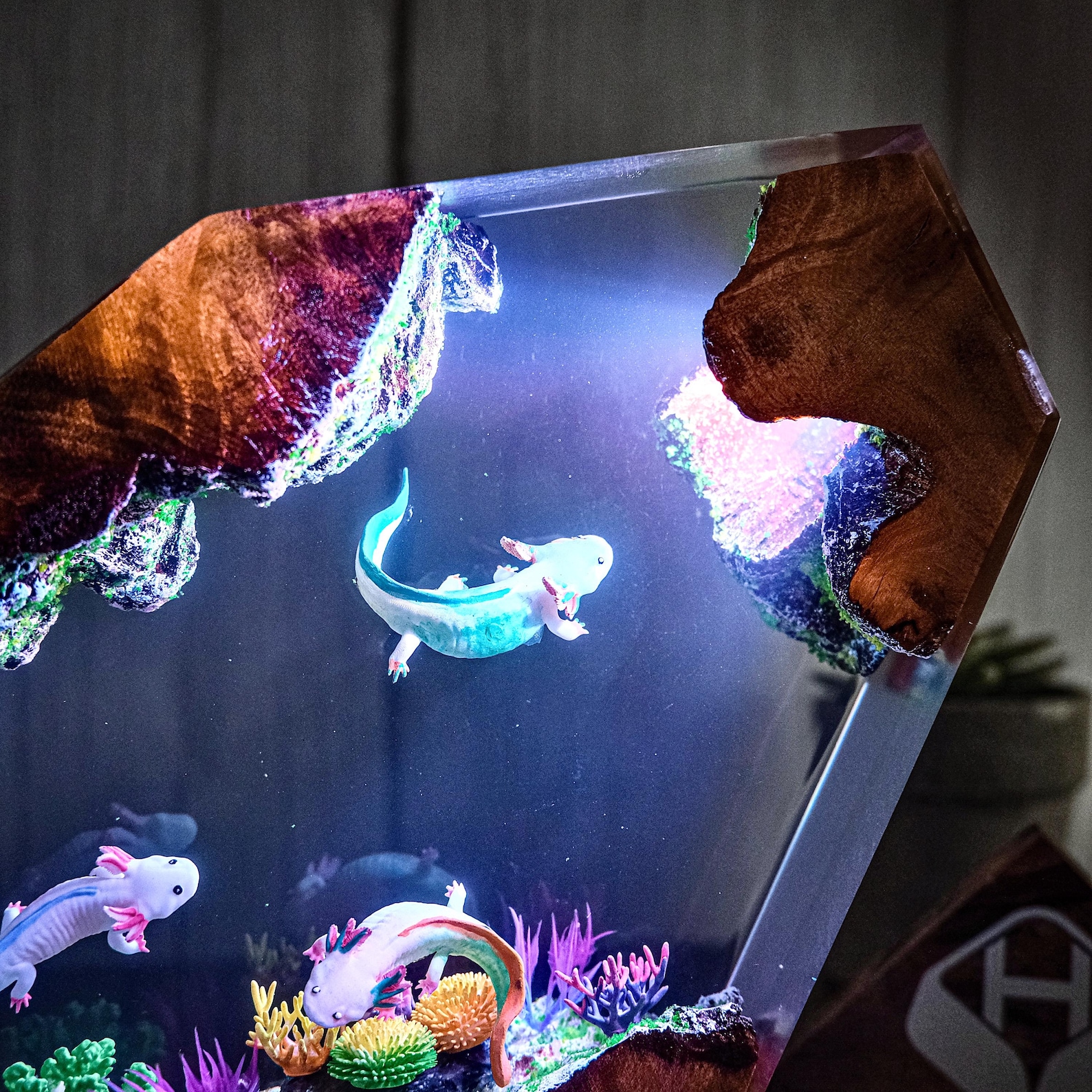 Axolotl or Mexican Salamander Resin Lamp, Sea Creatures Lamp, Coral ...