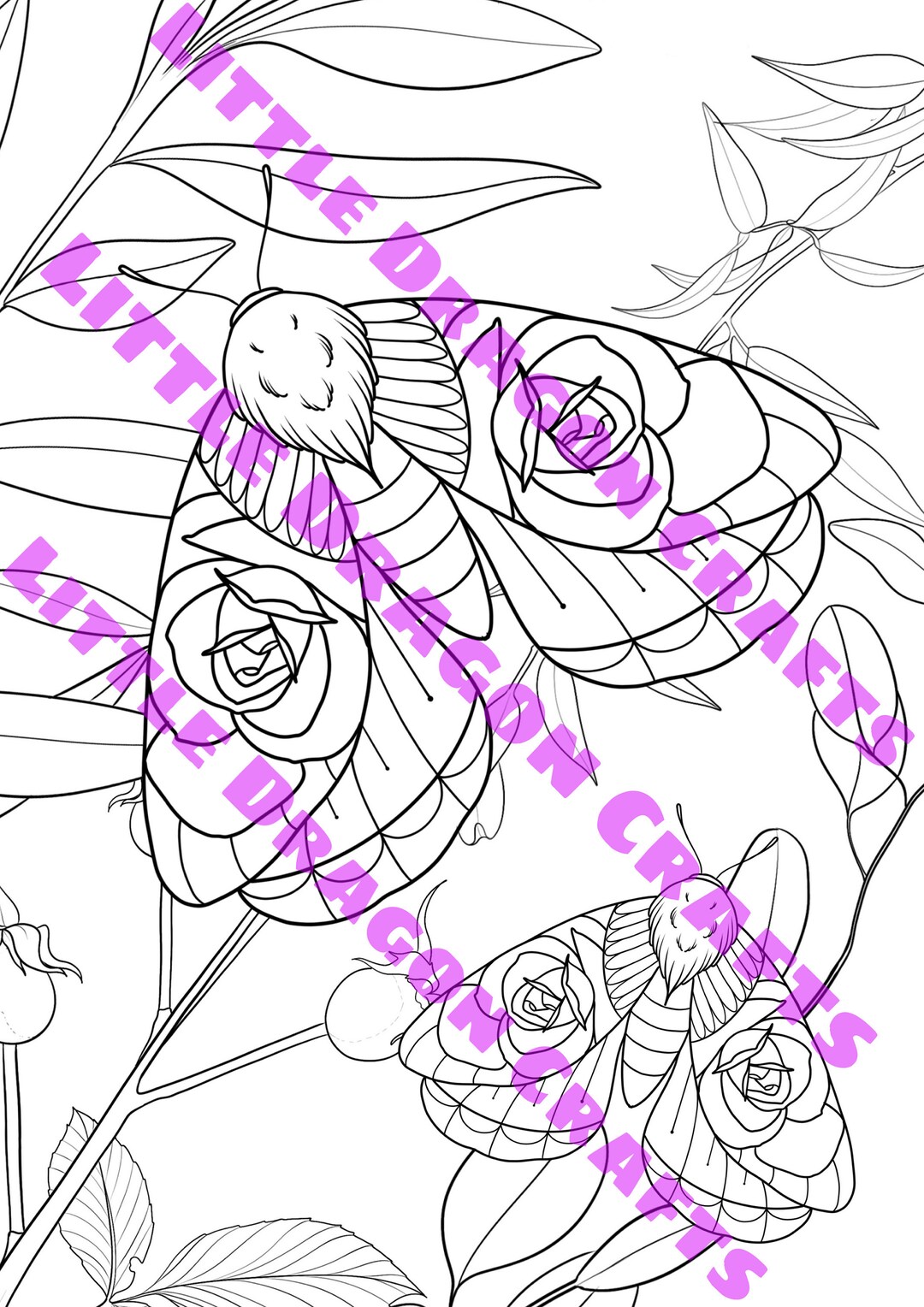 3 Moth Colouring Sheets - Etsy