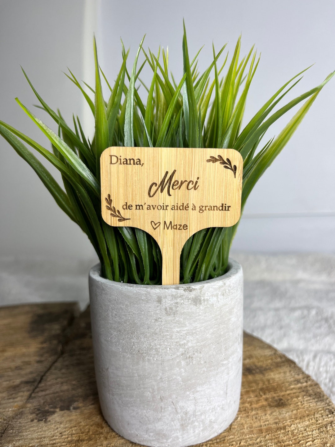 Merci De M'avoir Aidé à Grandir, Succulent Stake, End of Year Teacher ...