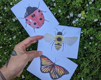 Lady Bug Butterfly | Etsy