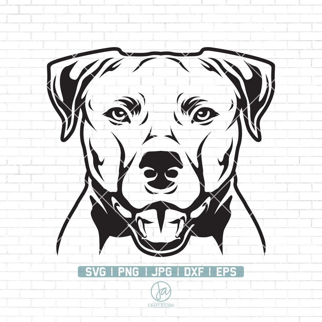 American Pit Bull Svg File | Dog Clipart | Pitbull Svg | American Bully ...