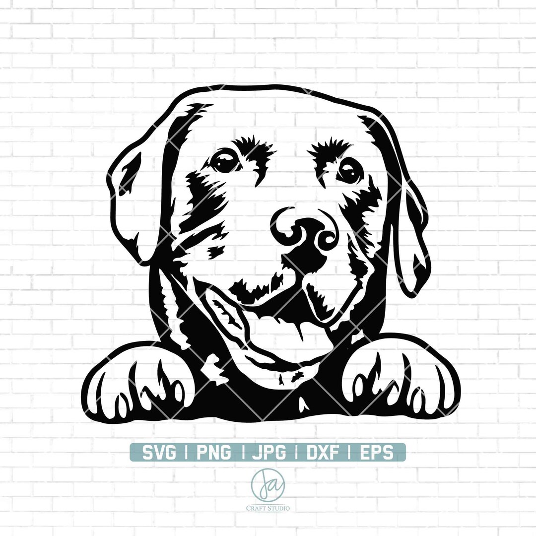 Labrador Retriever Svg | Labrador Svg | Black Labrador Svg | Doggo Svg ...