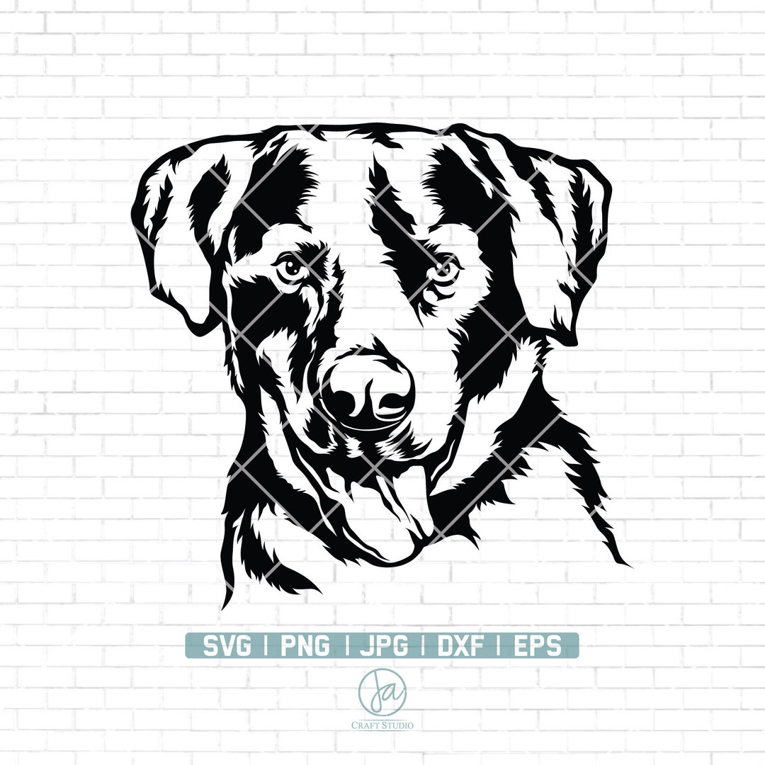 Labrador Svg | Dog Svg Cricut | Black Labrador Retriever Face Clipart ...