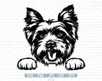 Yorkshire Terrier Svg, Yorkie Svg, Dog Head Svg, Dog Clipart, Yorkshire ...