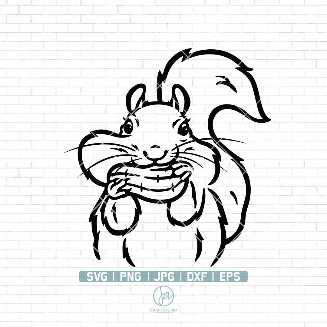 Squirrel SVG | Squirrel With Peanut SVG | Cute Squirrel SVG | Baby ...