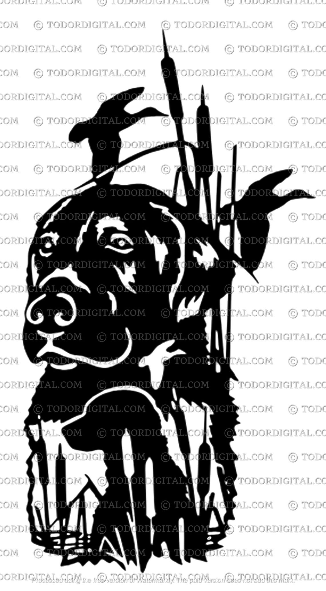 Hunting Dog Svg File - Hunting Season Svg - Dog Clipart - Hunting ...