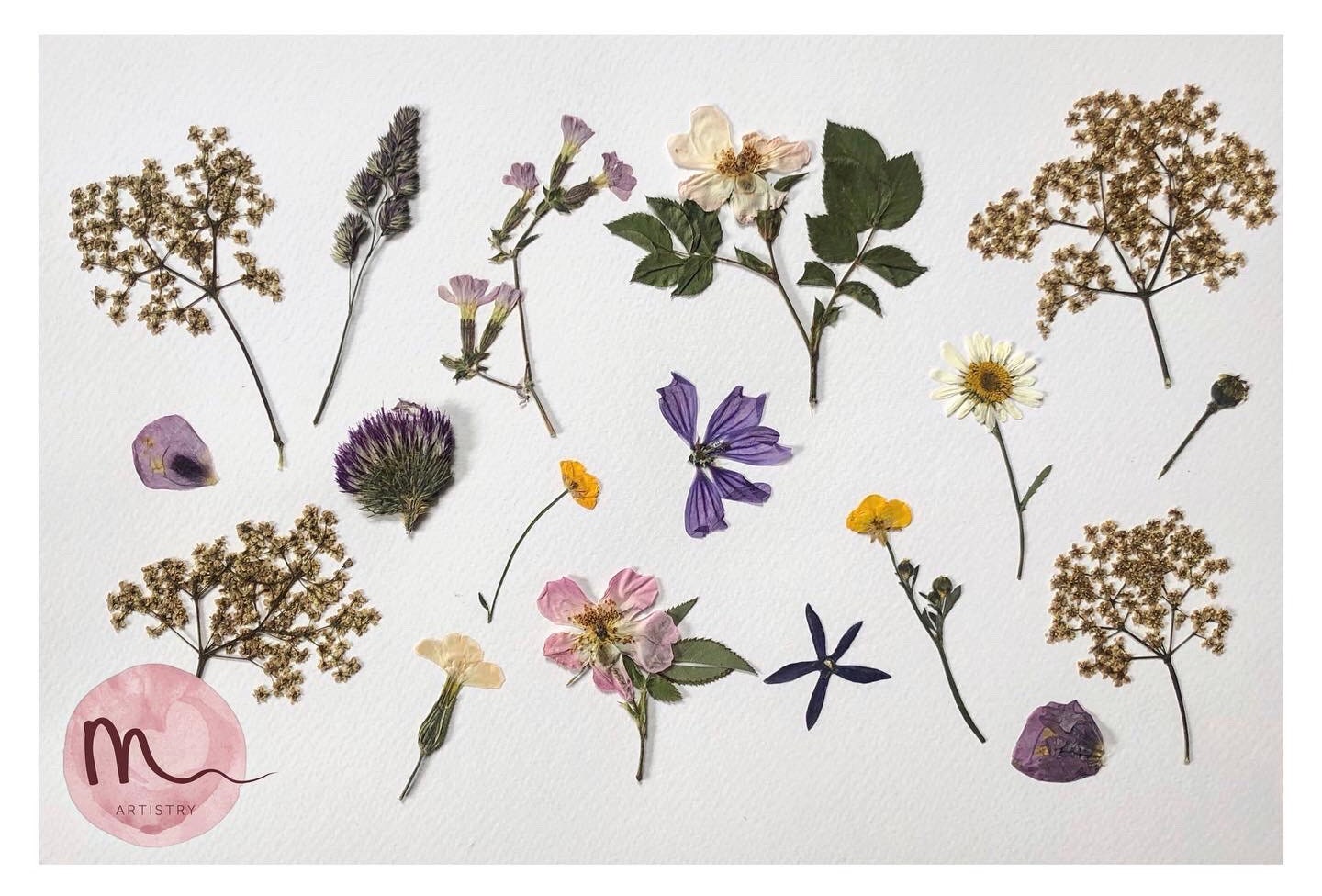 Pressed Flower Notelets - A Floral Ode to Lockdown - Etsy