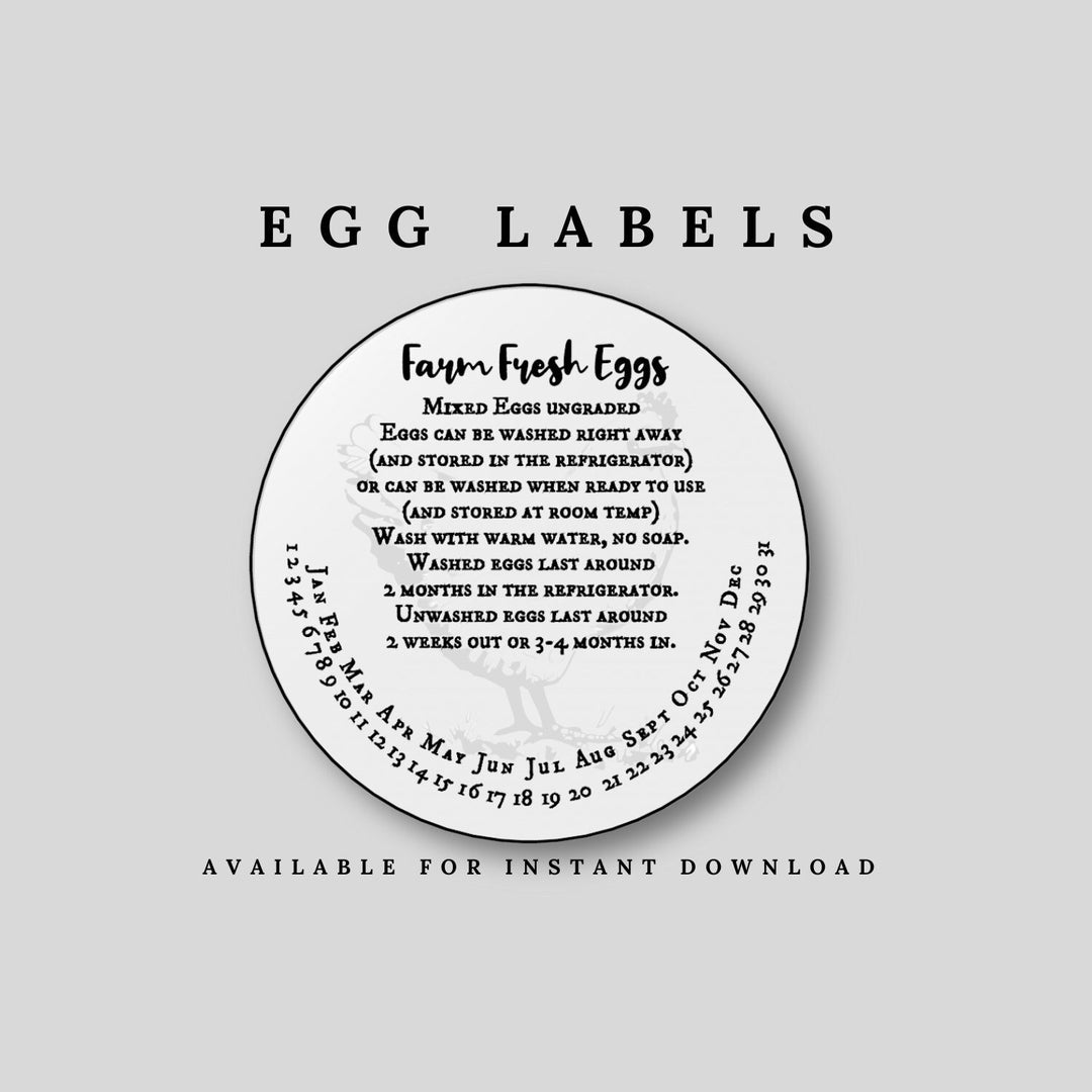 Fresh Egg Labels - Farm Fresh Stickers - Egg Carton Sticker - Chickens ...