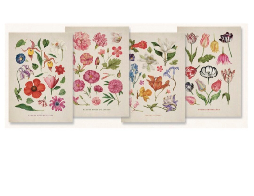 Vintage French Art Prints - Flowers Set of 4 Prints - Printable File - Etsy