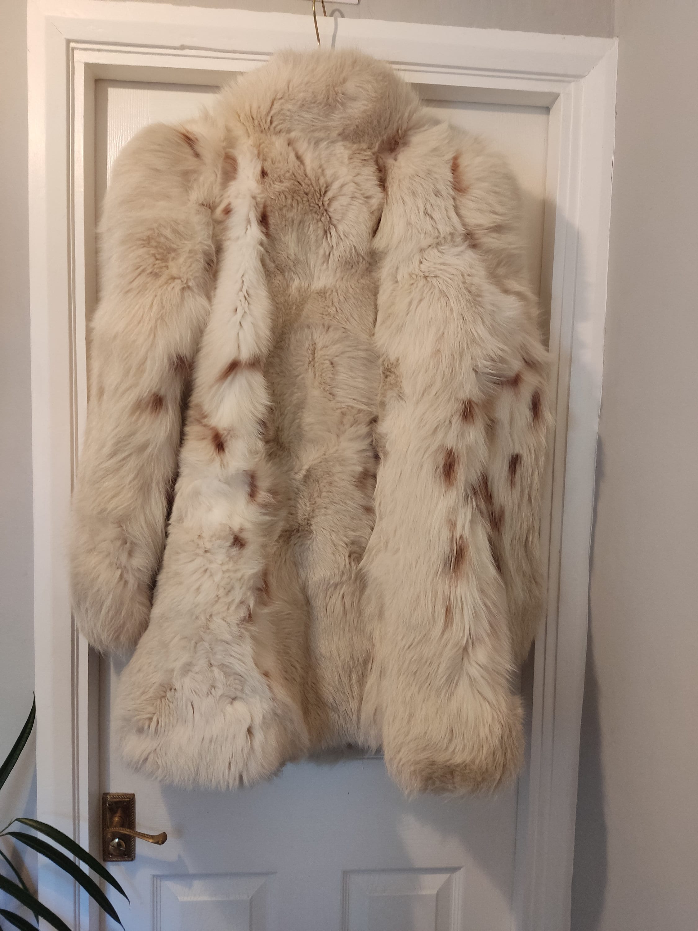 Huge White / Shadow / Arctic Fox Real Full Pelt Fur Coat / Jacket Size ...