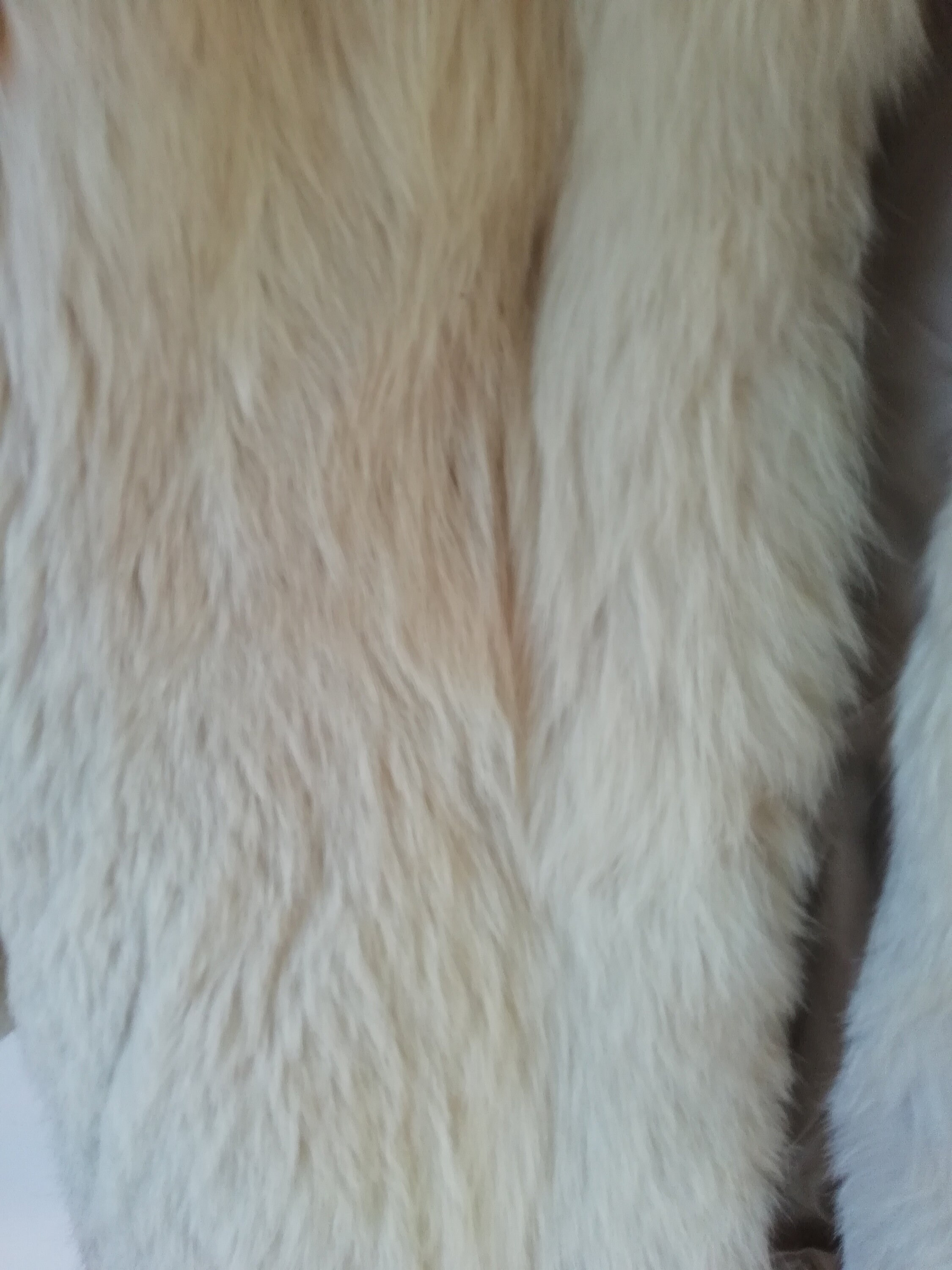 White / Shadow / Arctic Fox Real Vintage Fur Coat / Jacket | Etsy