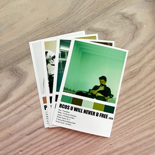 11 Rex Orange County Stickers Who Cares Album Die-cut - Etsy