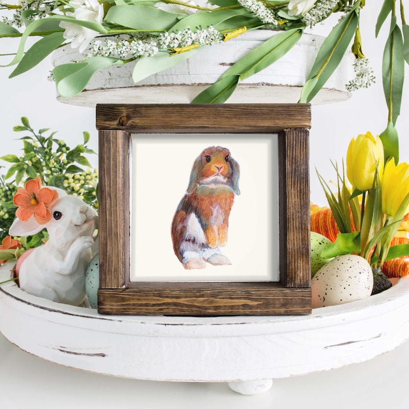 Floppy Eared Bunny Art - Etsy