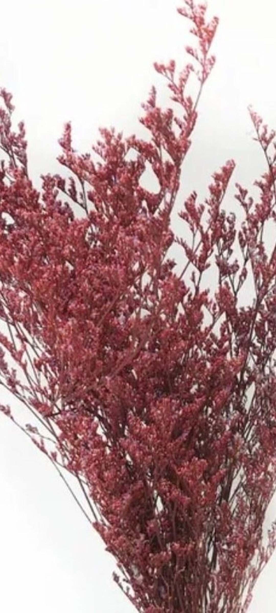 Fall Bridal Bouquets Vase Filler Lover Grass Filler Fall Florals Bride ...