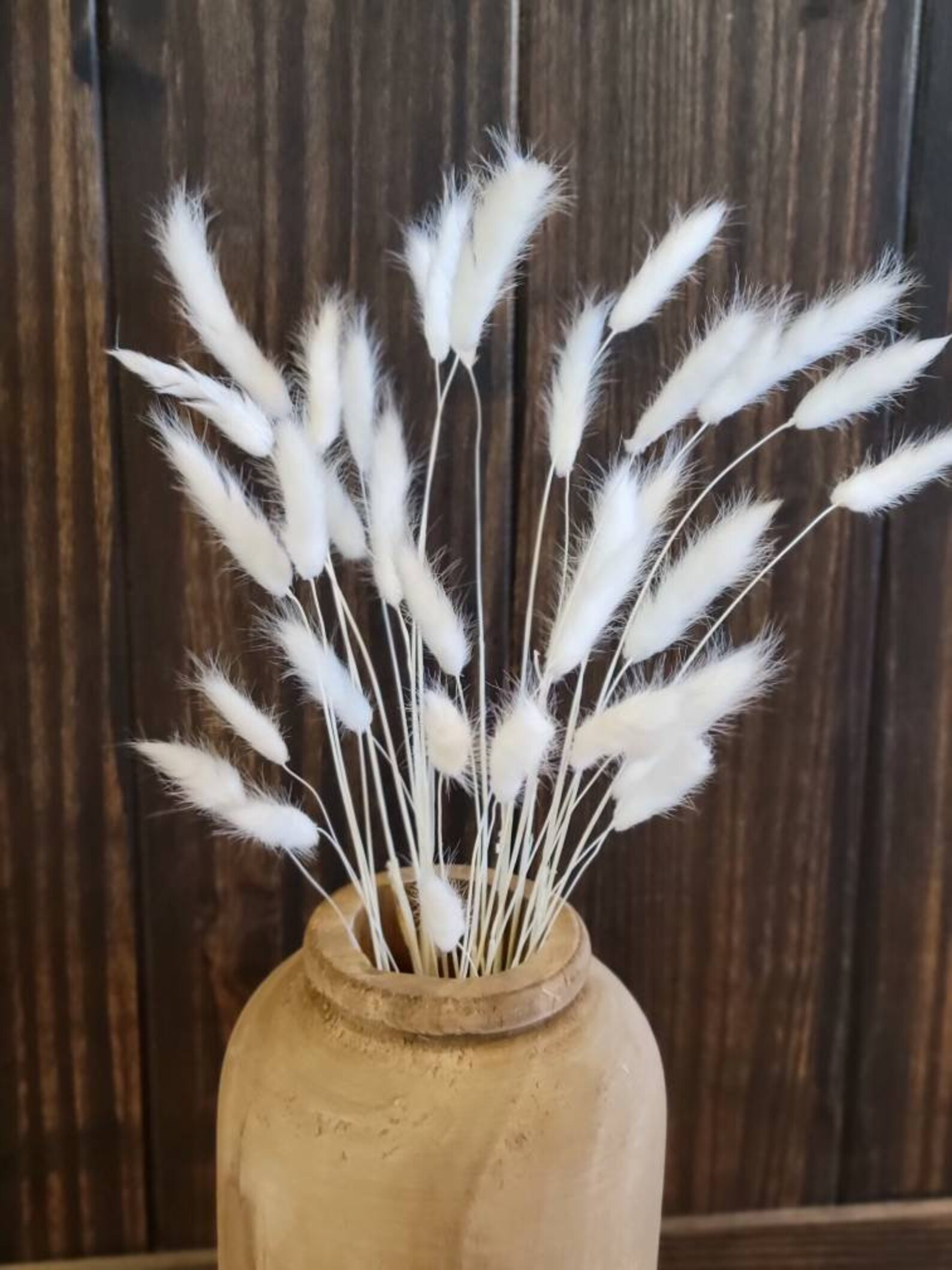 White Bunny Tails Bundle of 40 to 50 Dried Florals Dry Bunny Tails ...