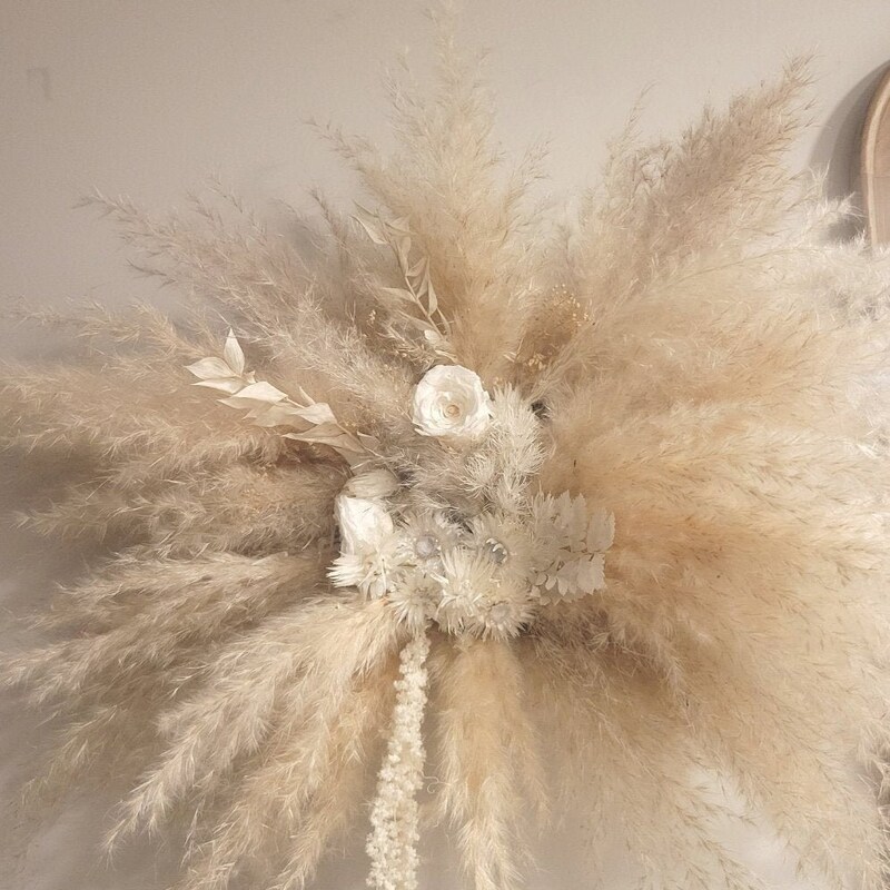 Gold Pampas Grass - Etsy