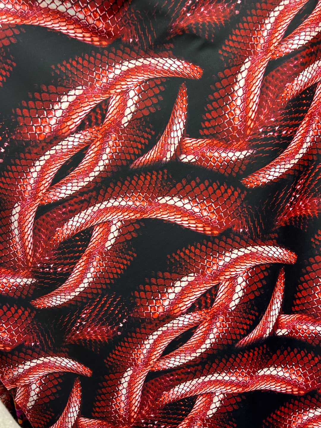 Anaconda Snake Print Nylon Spandex Fabric - Four Way Stretch - Etsy