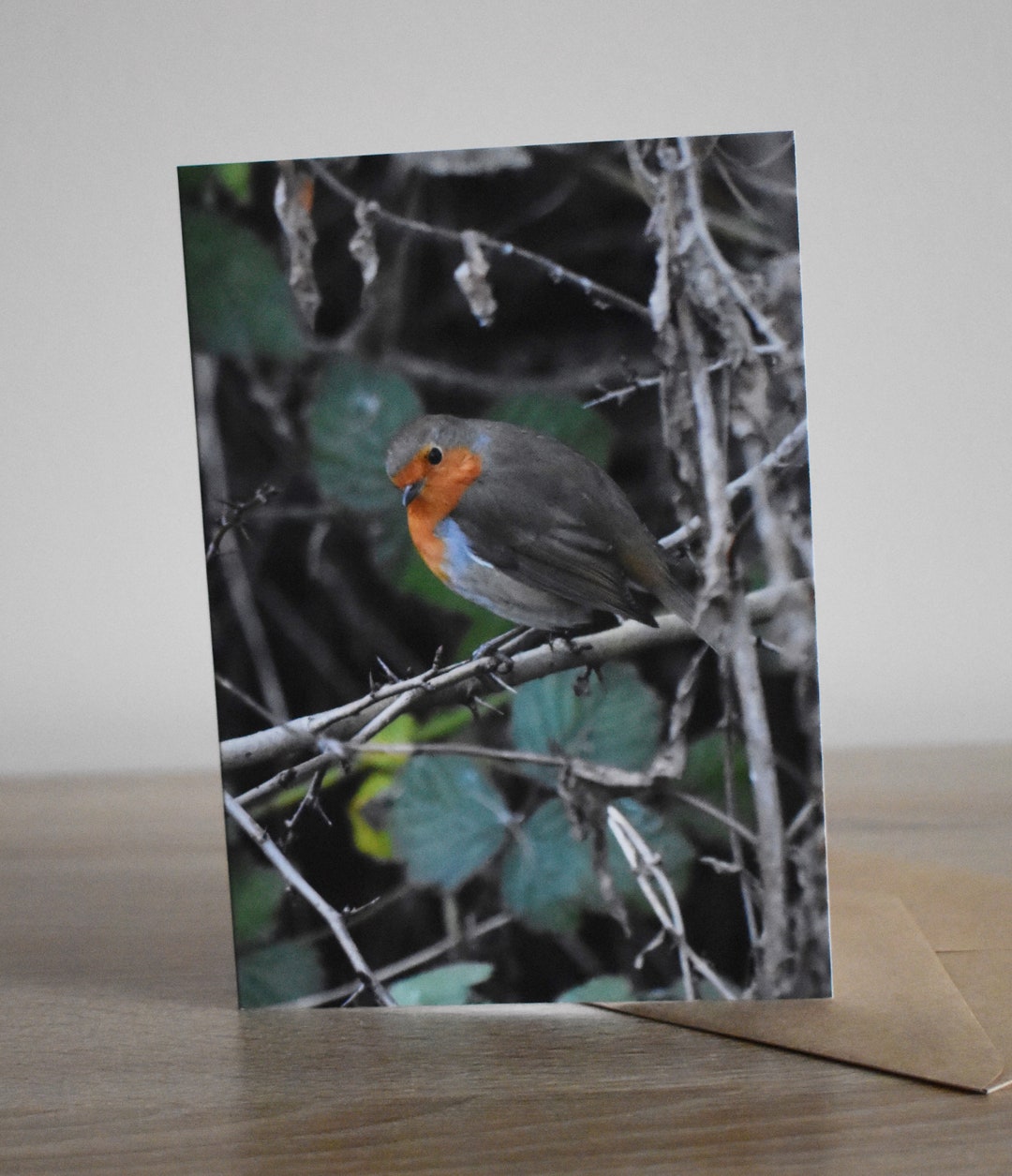 Robin Greeting Card - Etsy