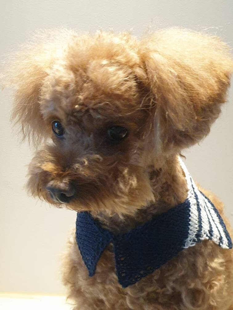 Cape Collar/dog Knit/dog Knits/dog Knitting Pattern/dog - Etsy