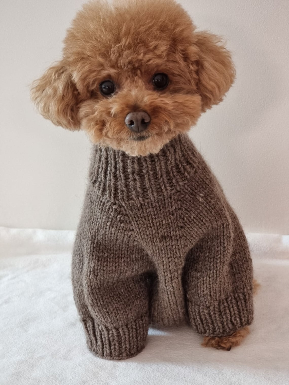 Basic Turtleneck Sweater Large Size Pattern | Etsy