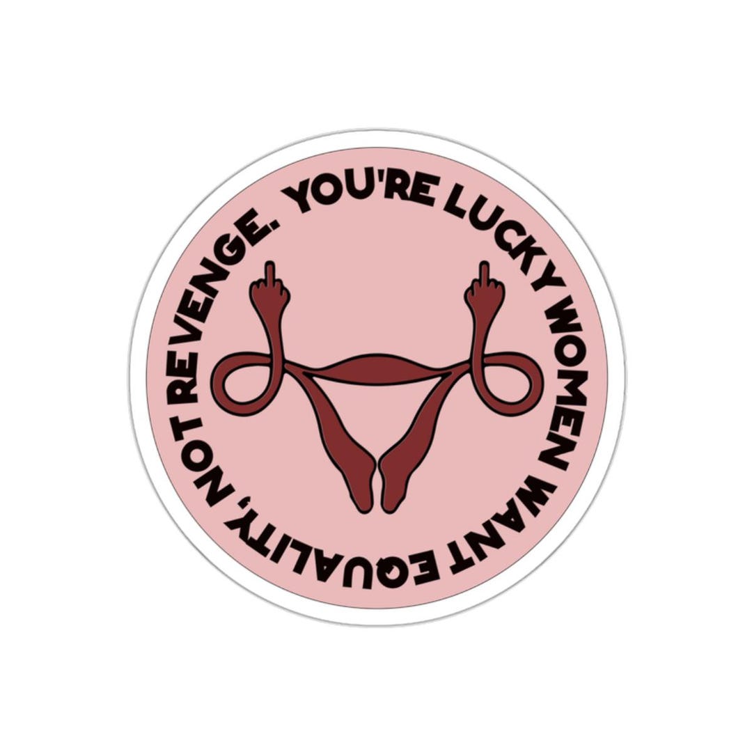 You're Lucky We Want Equality, Not Revenge - Etsy