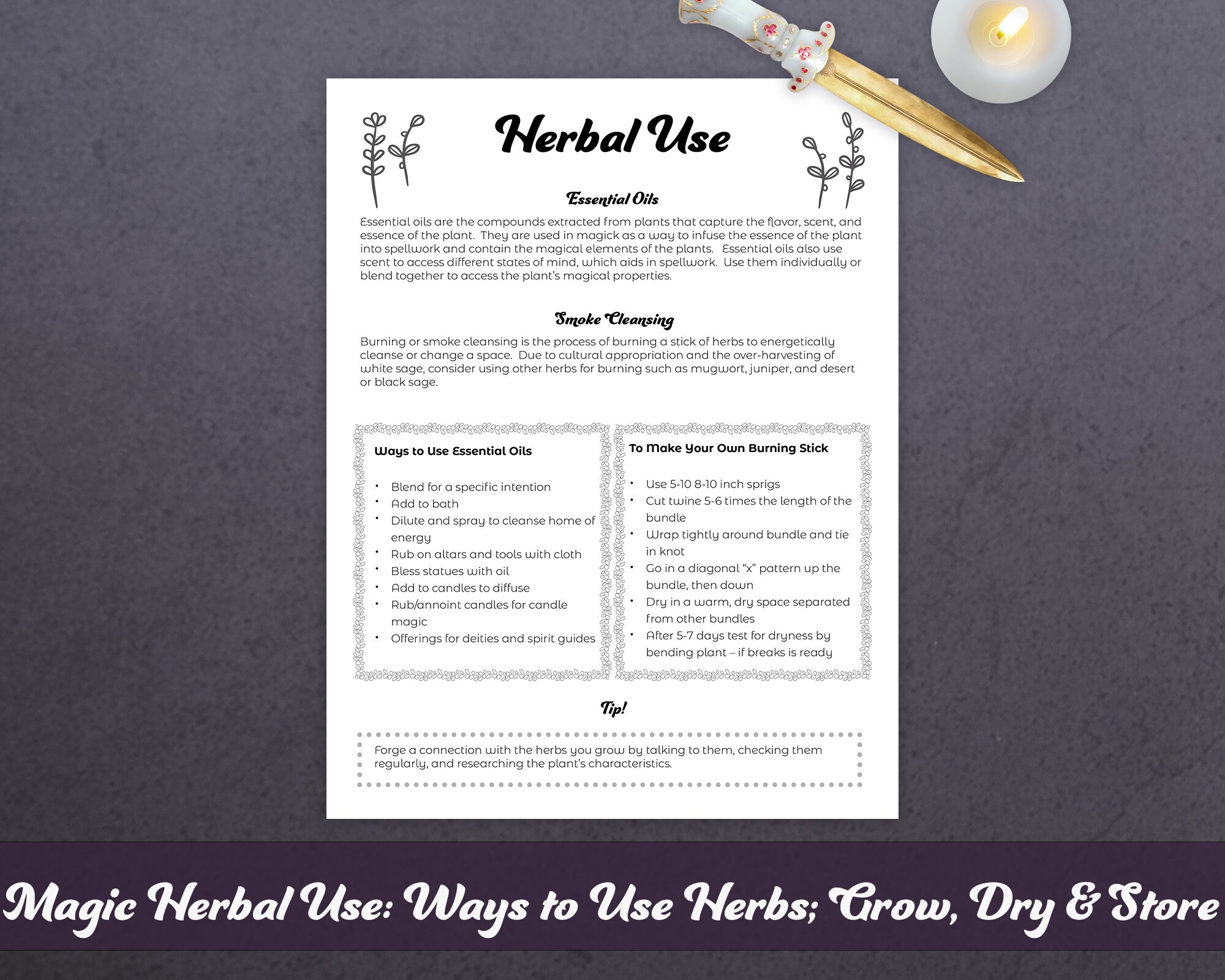 Herb Use Herb and Plant Magic Herb Magic Herbal Magic Herb - Etsy