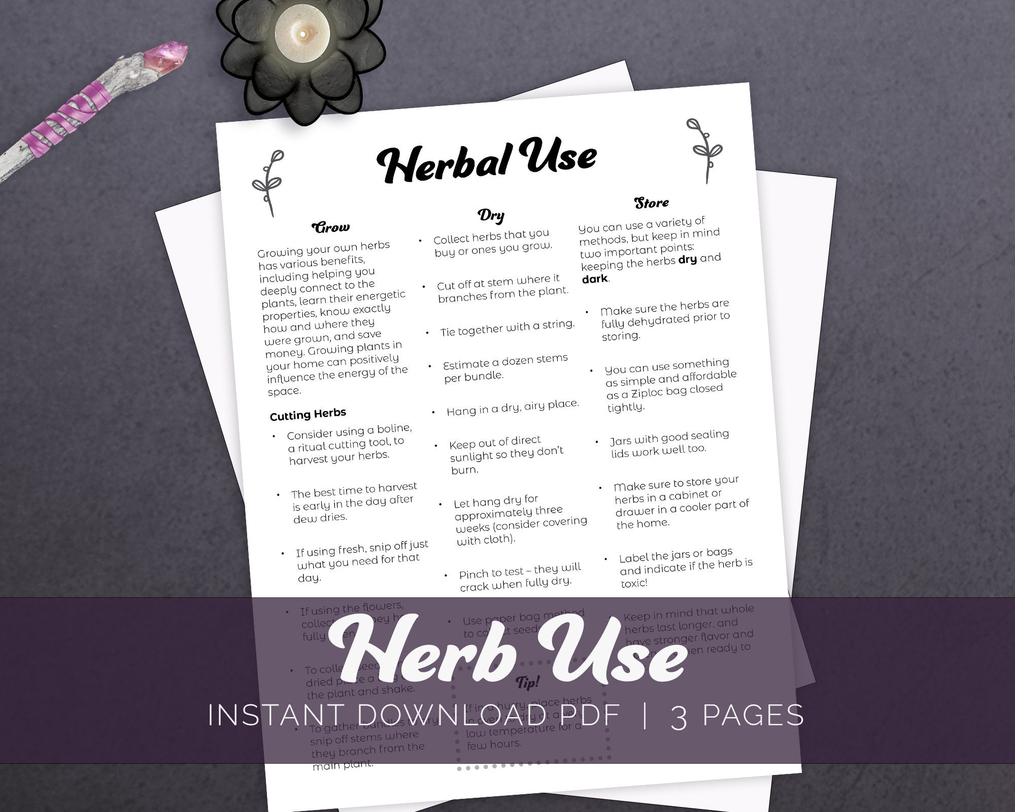 Herb Use Herb and Plant Magic Herb Magic Herbal Magic Herb - Etsy
