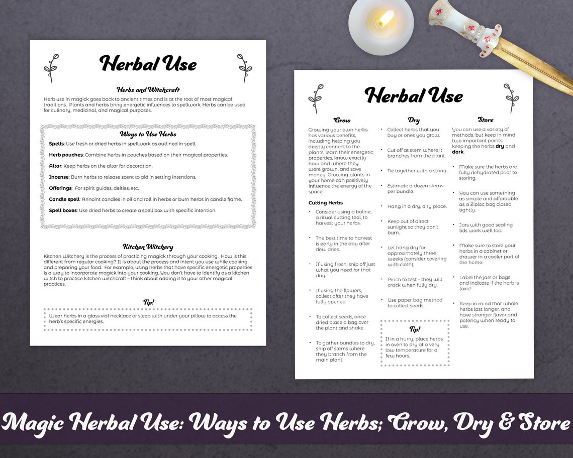 Herb Use Herb and Plant Magic Herb Magic Herbal Magic Herb - Etsy