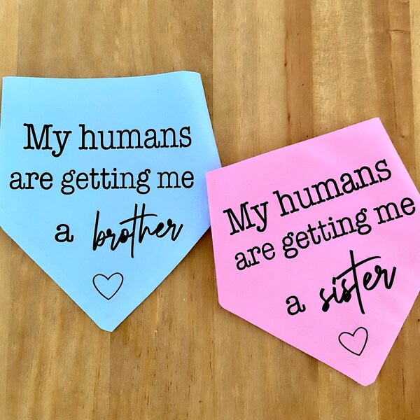 Dog Gender Reveal Invitations - Etsy
