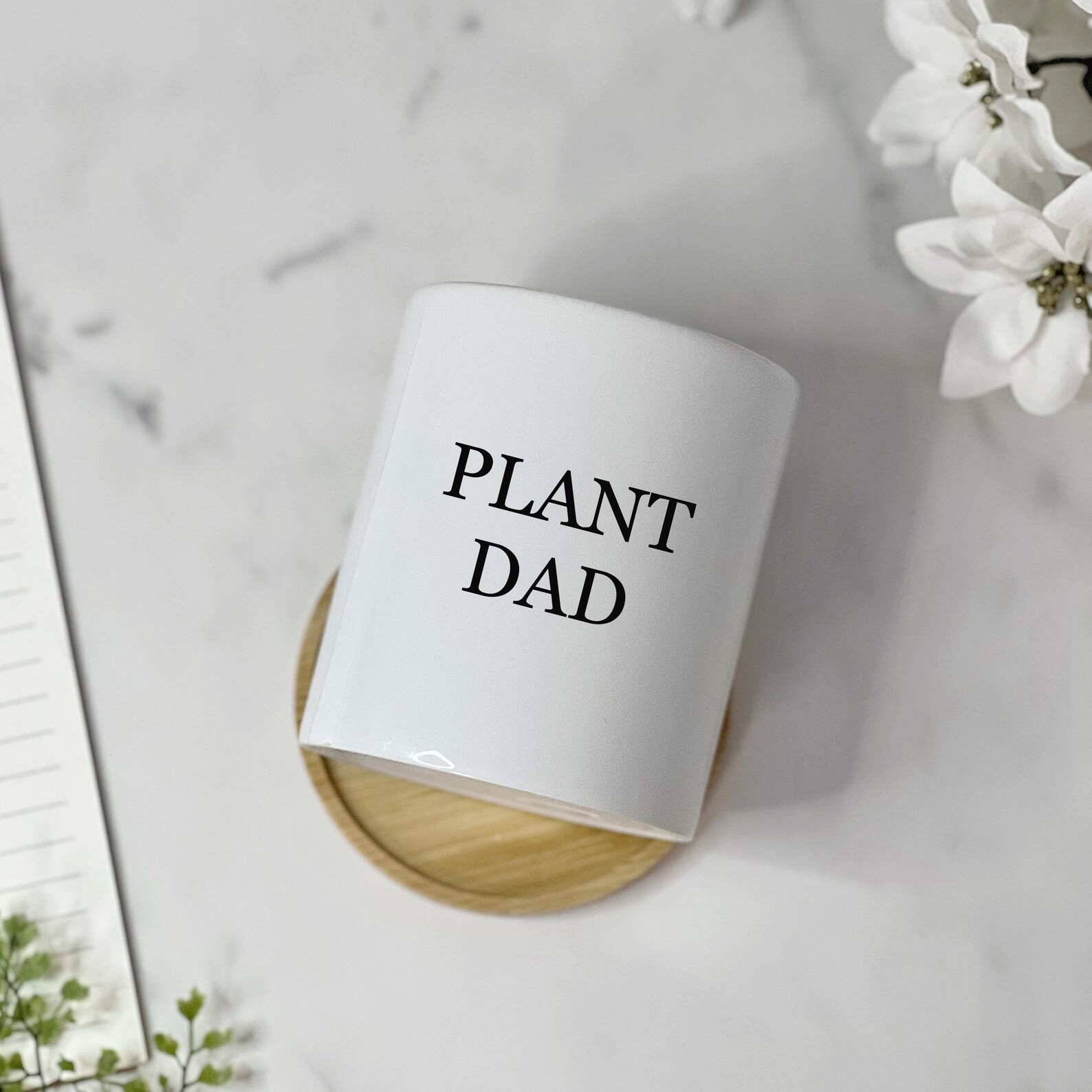 Plant Dad Plant Pot, Plant Daddy Gifts, Gardening Gift for Him, Plant ...