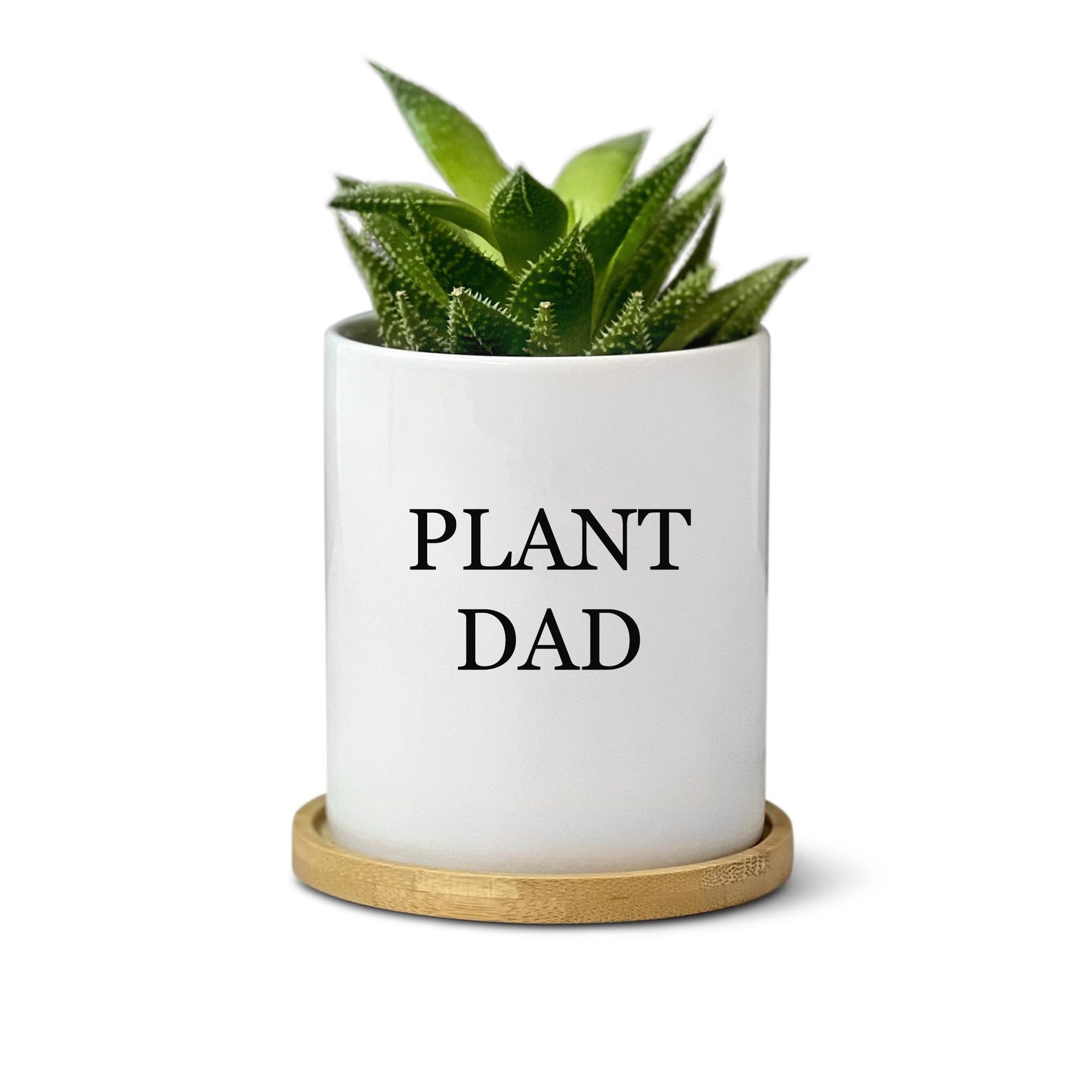 Plant Dad Plant Pot, Funny Gardening Gift for Men, Fathers Day Gift ...