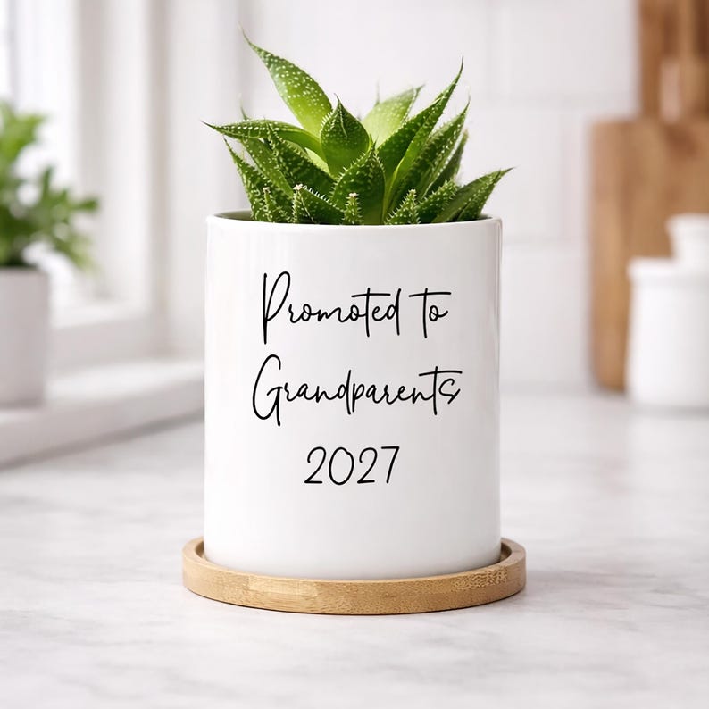 Promoted to Grandparents Planter New Grandparents Gift Pregnancy ...