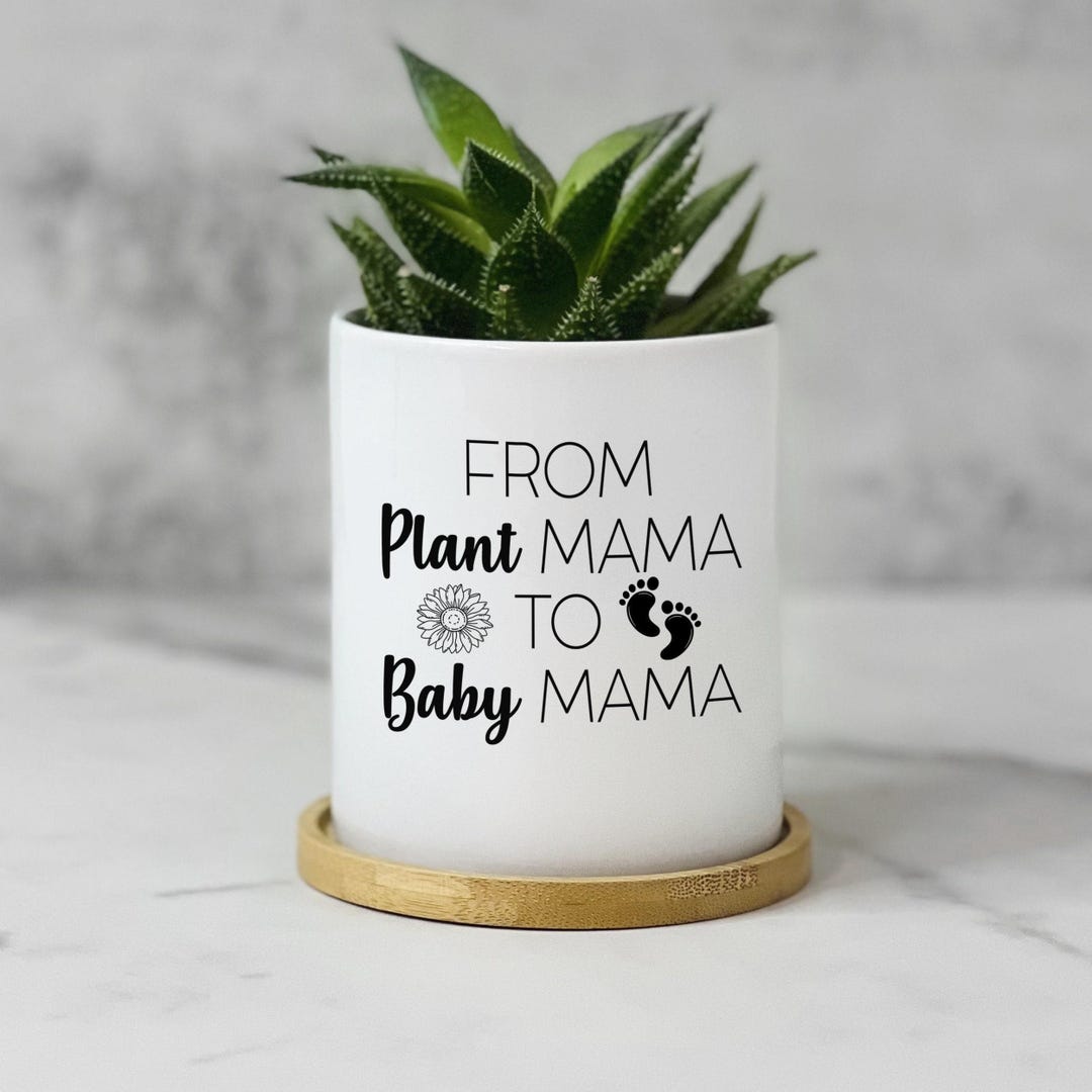 Pregnancy Gift for First Time Moms, Planter Gift for Expecting Mom ...